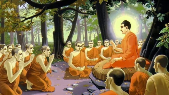 Mi Tiên Vấn đáp Phù Hợp Với Những Ai